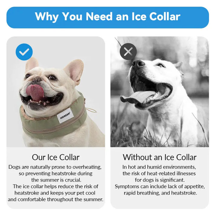 Reusable Cooling Collar for Dogs Protecting Skin from Frostbite - – PetPark