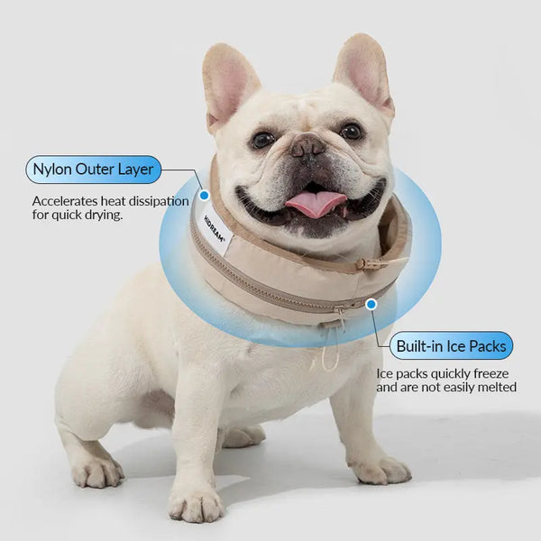 Reusable Cooling Collar for Dogs Protecting Skin from Frostbite - – PetPark