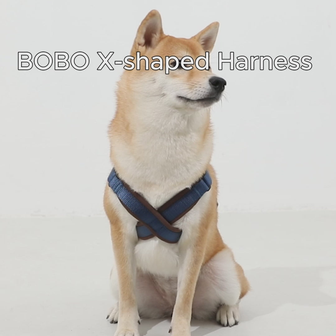 BOBO X-Shaped Trachea-Protective Harness | Choose from Harness, Leash ...